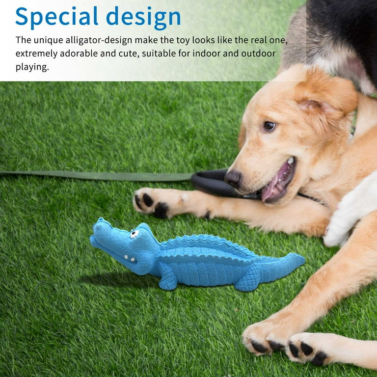 Rawhide Bone Alligator