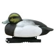 GHG Series Life Size Bluebill Waterfowl Hunting Decoys | 4 , 2 Hens ...