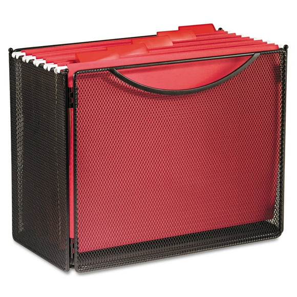 Mesh File Box