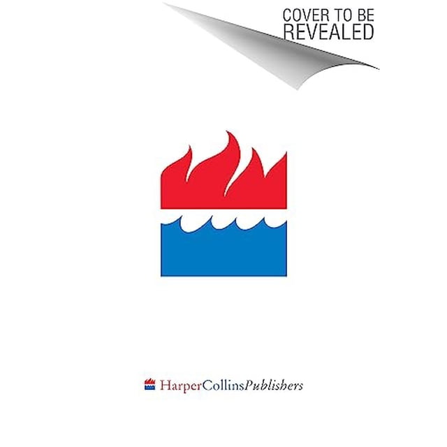 Pre-Owned Silver Angel (Paperback) - Walmart Business Supplies