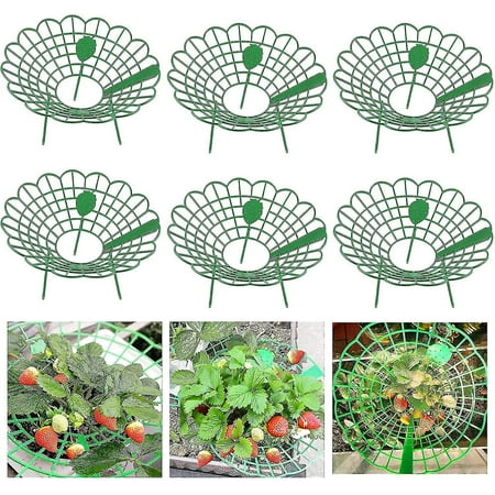 6 Packs Srawberry Supports, Portable Strawberry Stand With 4 Sturdy Leg ...