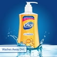 Dial Complete Liquid Hand Soap Gold 11oz - Walmart.com