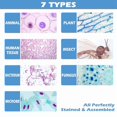 200 Packs Microscope Slides, 100 Plants & 100 Animal Tissues Includes ...