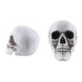 Sarkoyar Life Size Human Skull Model Halloween Decor Skeleton Skull ...