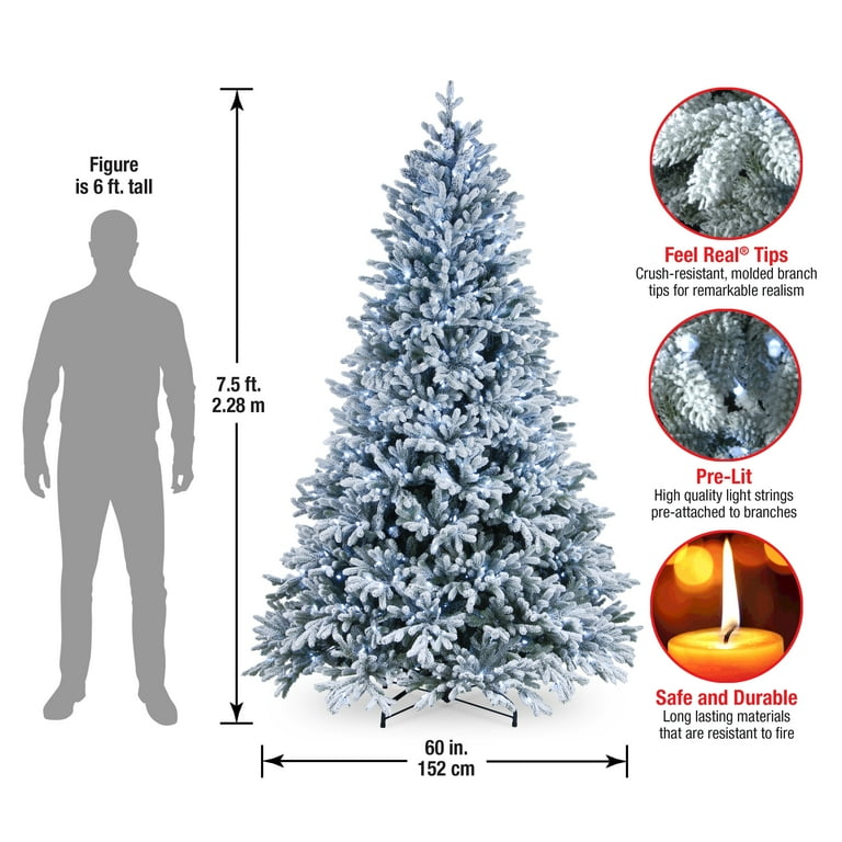 Hamilton 7 5 Christmas Tree