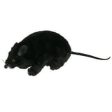 Skeleteen Realistic Black Prank Rat - Real Looking Scary Plush Fake ...