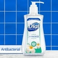 Dial Antibacterial Liquid Hand Soap, White Tea, 11 fl oz - Walmart.com