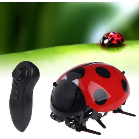 New Hot Ladybird Robot Electric Toys Kids Pets Mini Walking Insect ...