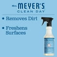 Clean Day All-Purpose Cleaner Spray - Rain Water Scent, Plant-Derived ...