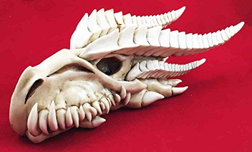 Large Dragon Fossil Skull Remains Legendary Beast Skeleton Head ...