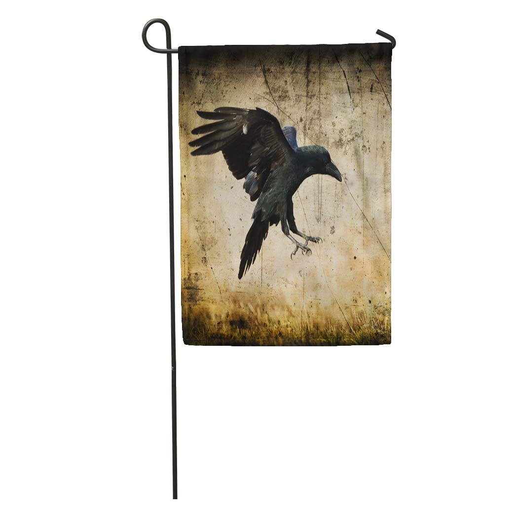 KDAGR Landing Black Raven Corvus Corax in Moonlight Scary Creepy Gothic ...