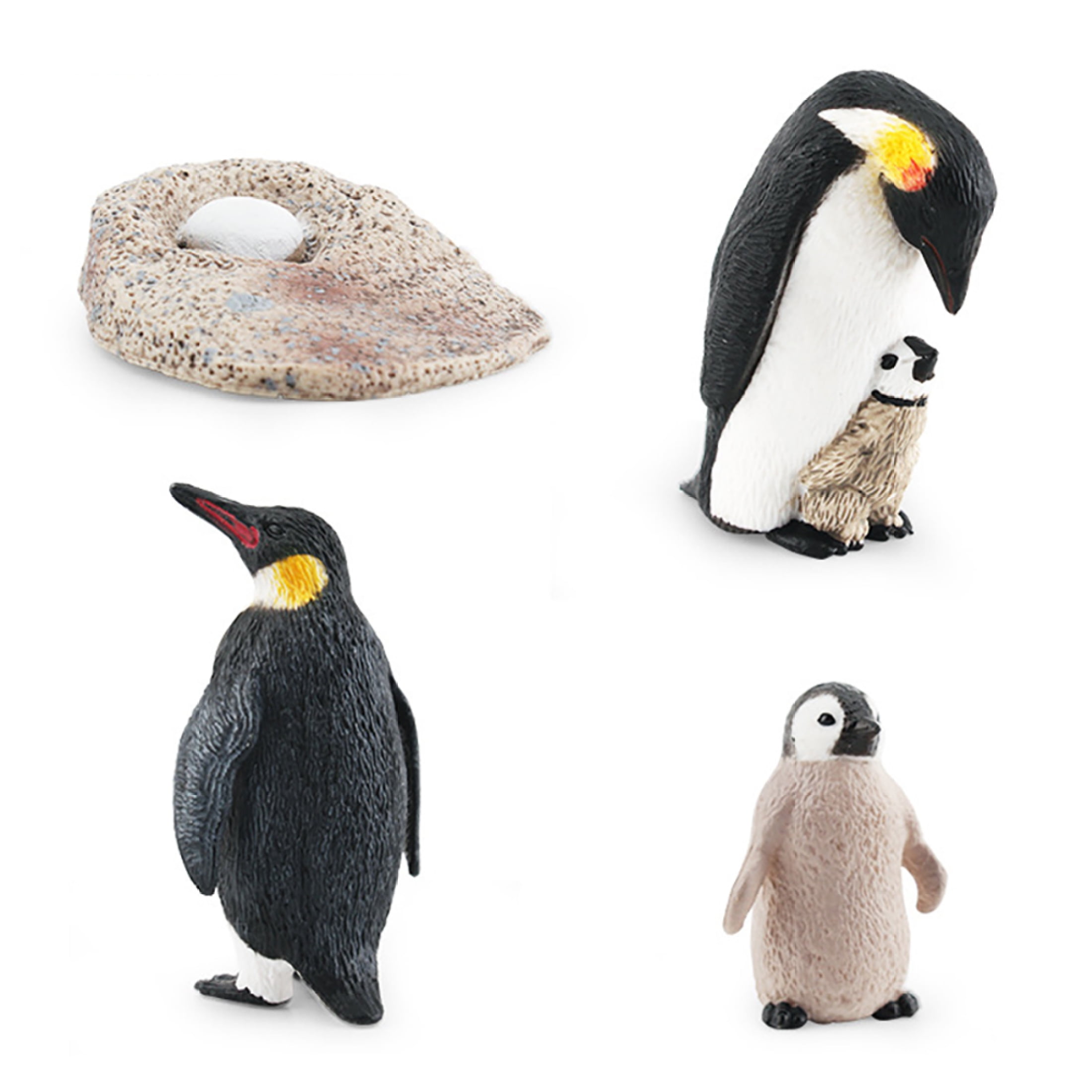 LICHENGTAI Penguin Growth Cycle Animal Doll Kit Life Cycle Teaching ...