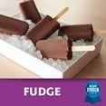 Blue Ribbon Classics Chocolate Flavored Fudge Frozen Dessert Treat Bar ...