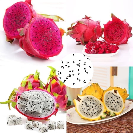 Flmtop 500Pcs/Bag Pitaya Seeds Perennials Easy to Plant Eco-Friendly ...