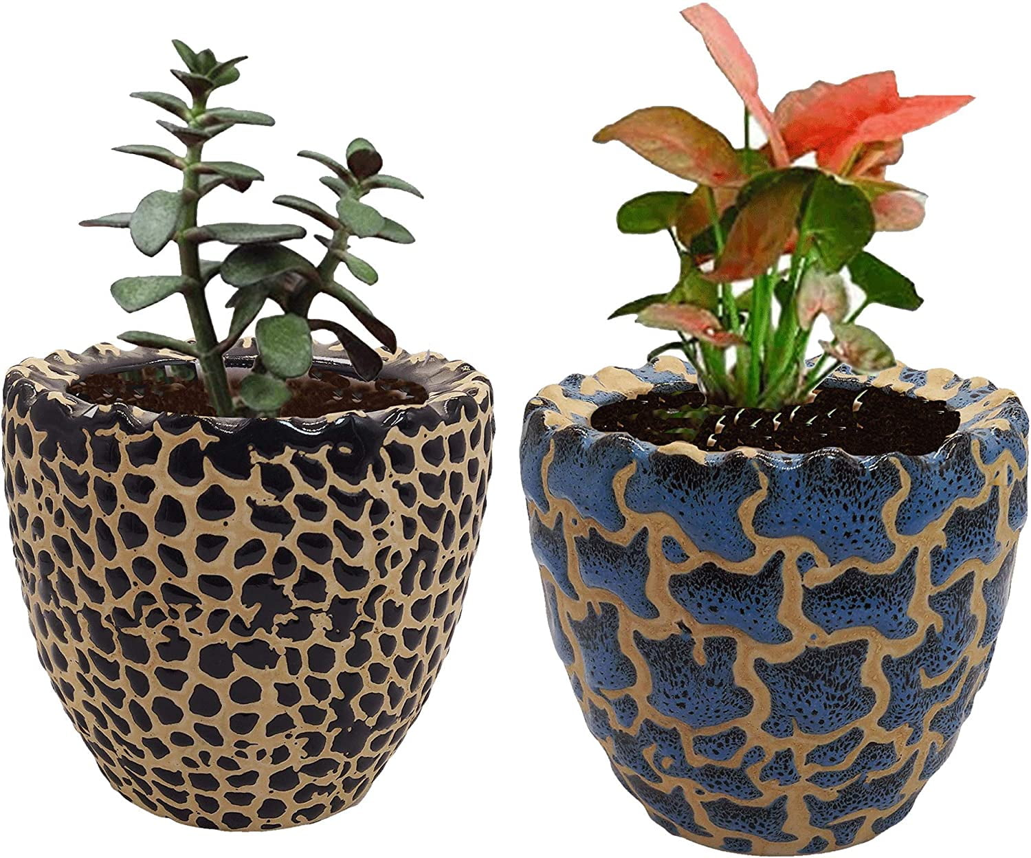 India Meets India Ceramic Flower Pot Designer Planter Vase Indoor ...