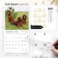 Irish Setters 2026 Wall Calendar 12 Month | 12" x 24" Open | Thick ...