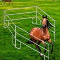 8'x8' Portable Metal Horse Pen, Stainless Steel Quick-Connect Corral ...