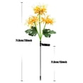 AuroraX Solar Flowers Outdoor Waterproof Decorative Landscape Large ...