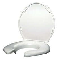 BIG JOHN Standard Size Large 3W Toilet Seat, With Cover, ABS plastic ...