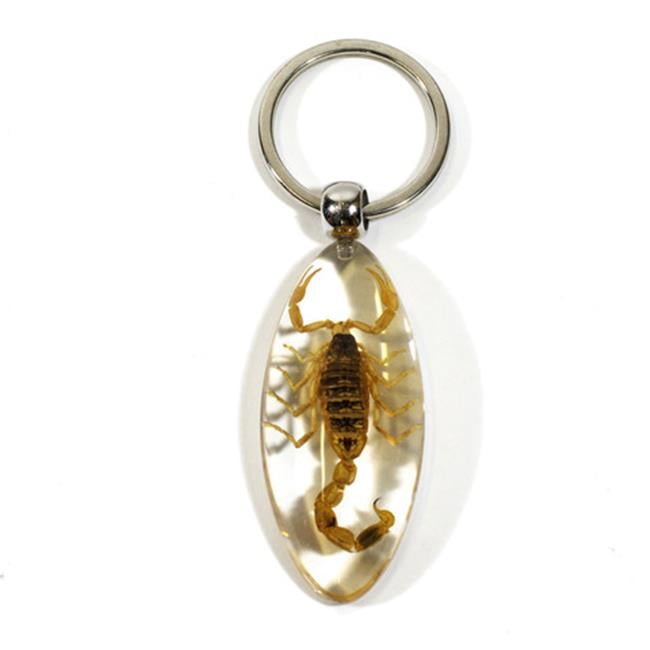 Company SK802 Real Bug Golden Scorpion Key Chain - Clear, Oval ...