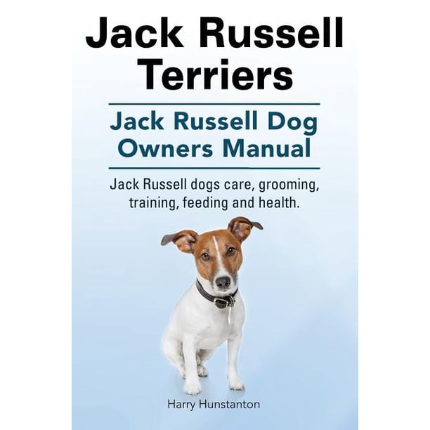 How Do You Take Care Of A Jack Russell