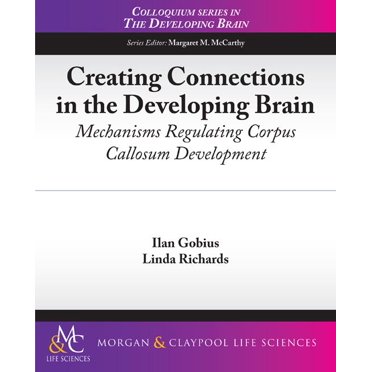 Magic and the Mind: Mechanisms, Functions, and Development of Magical ...