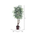 Vickerman 6' Artificial Variegated Ficus Heartland - Walmart.com