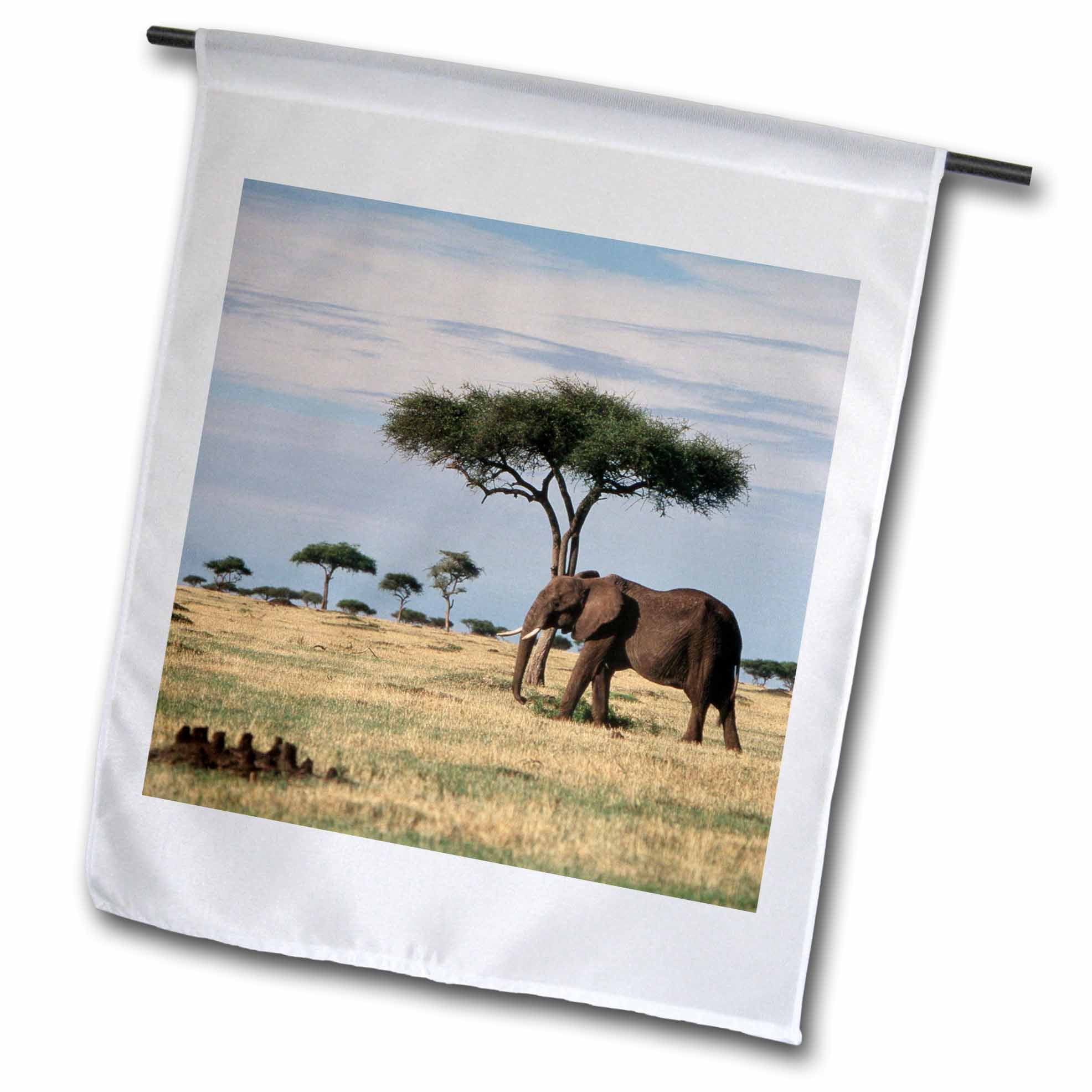 3dRose Kenya, Maasai Mara National Reserve, African Elephant. - Garden ...