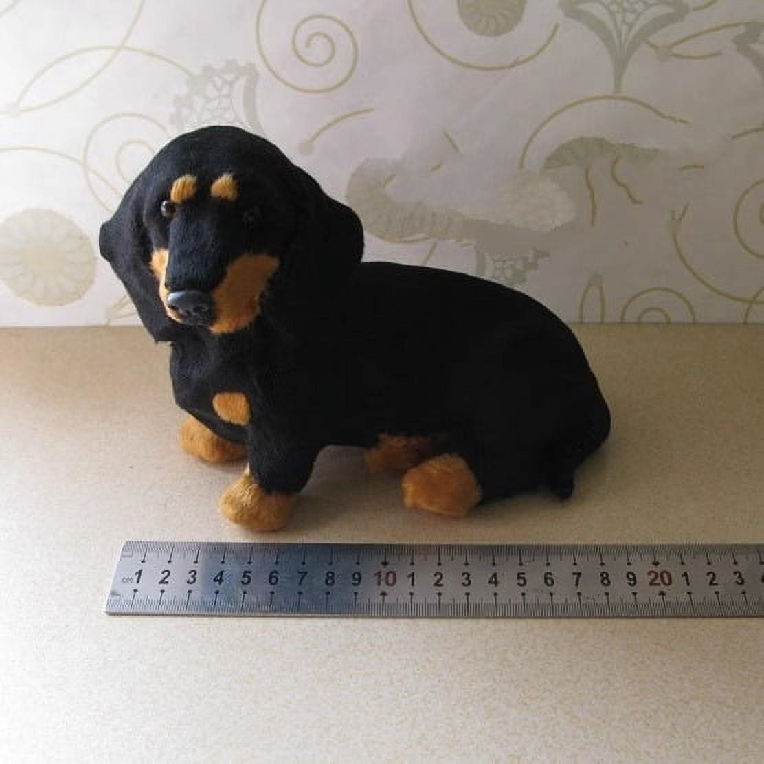 Modelo de perro de simulación, muñeco Dachshund, modelo de enseñanza ...