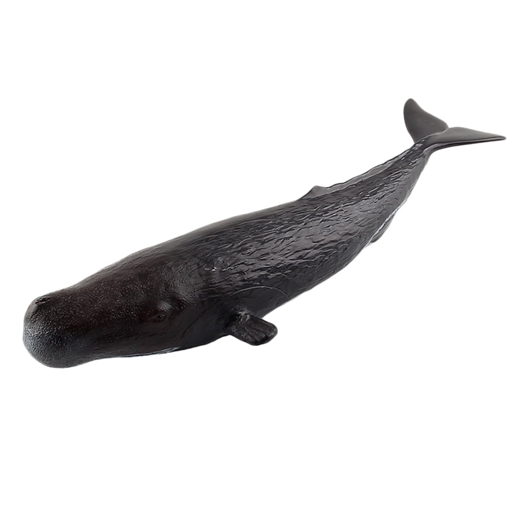 Realistic Ocean Marine Sea Sperm Whale Animal Model Plastic Figure Kids ...