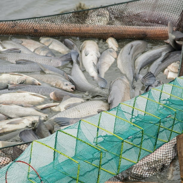ziyahi Fishing Folding Mesh Cage Foldable Cages Fishing Net Fish Crabs ...