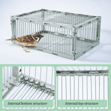 Bird Trap Cage with Escape-Proof,Bird Traps for Small Birds Live ...