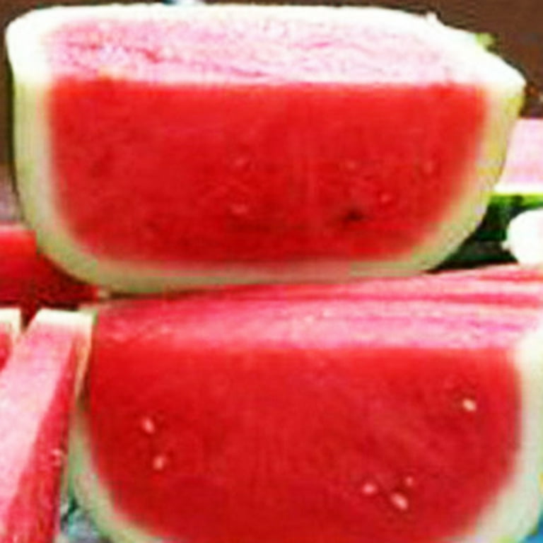 Square Watermelon Mold