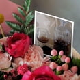 3drose, Brandy and Decanter, 6 Greeting Cards with Envelopes - Walmart.com