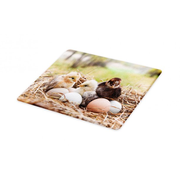 Chicks Cutting Board, Photo Focused on Little Chickens in Hay with Eggs ...