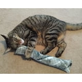 West Coast Pet Products 15" Catnip Cat Kicker Toys/Kitty Kick Sticks ...