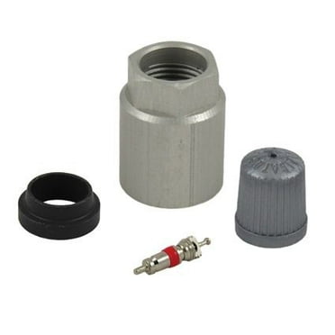 Schrader Tpms Service Pack - Ford Snap In - Walmart.com
