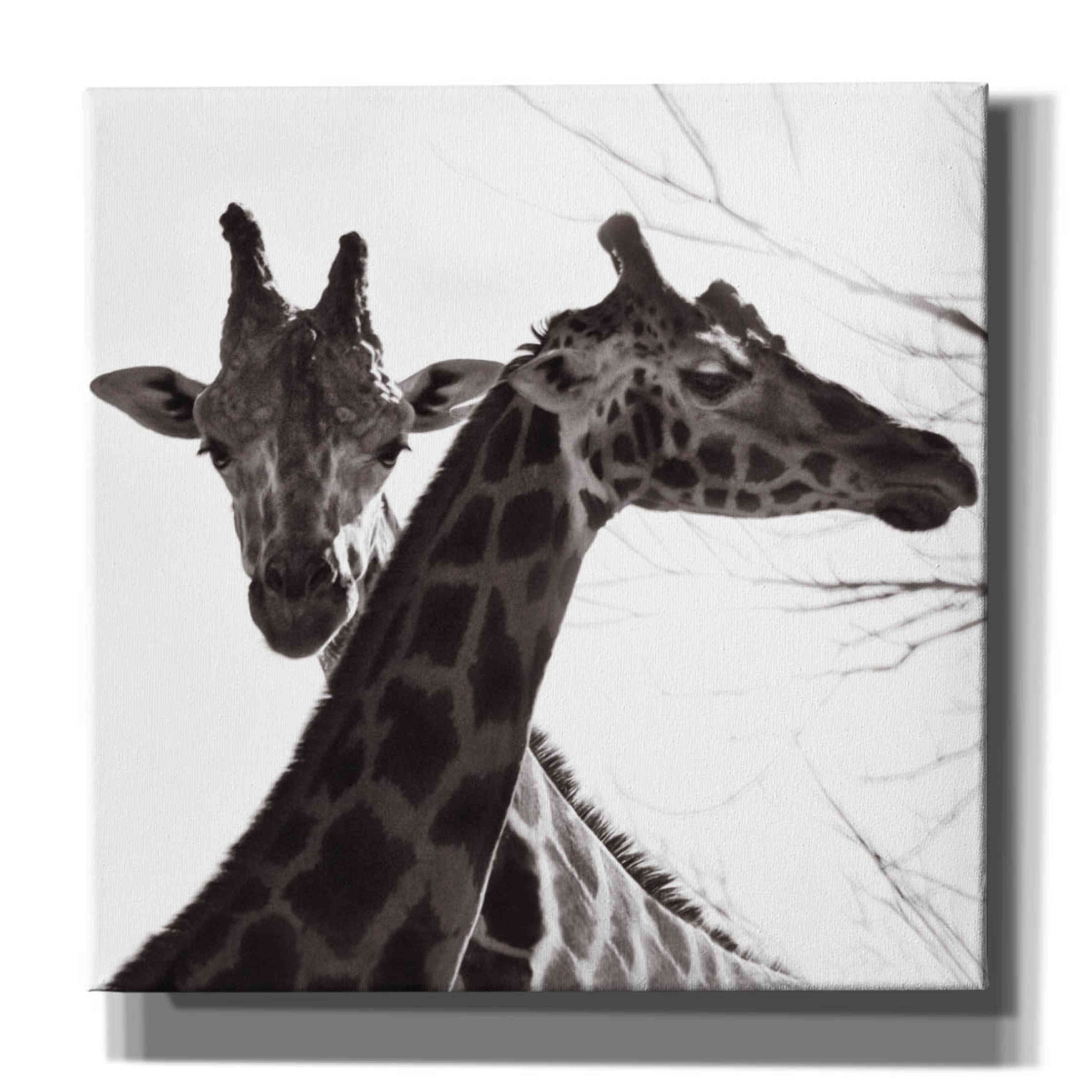 Epic Graffiti 'Giraffe II' by Debra Van Swearingen, Canvas Wall Art, 18 ...