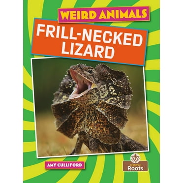 The Frog Book (Hardcover) - Walmart.com
