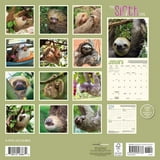 Carousel Calendars, Sloth Life 2025 Wall Calendar - Walmart.com
