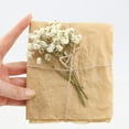 50pcs Mini Green Pole White Starry Sky Preserved Dried Flowers DIY ...