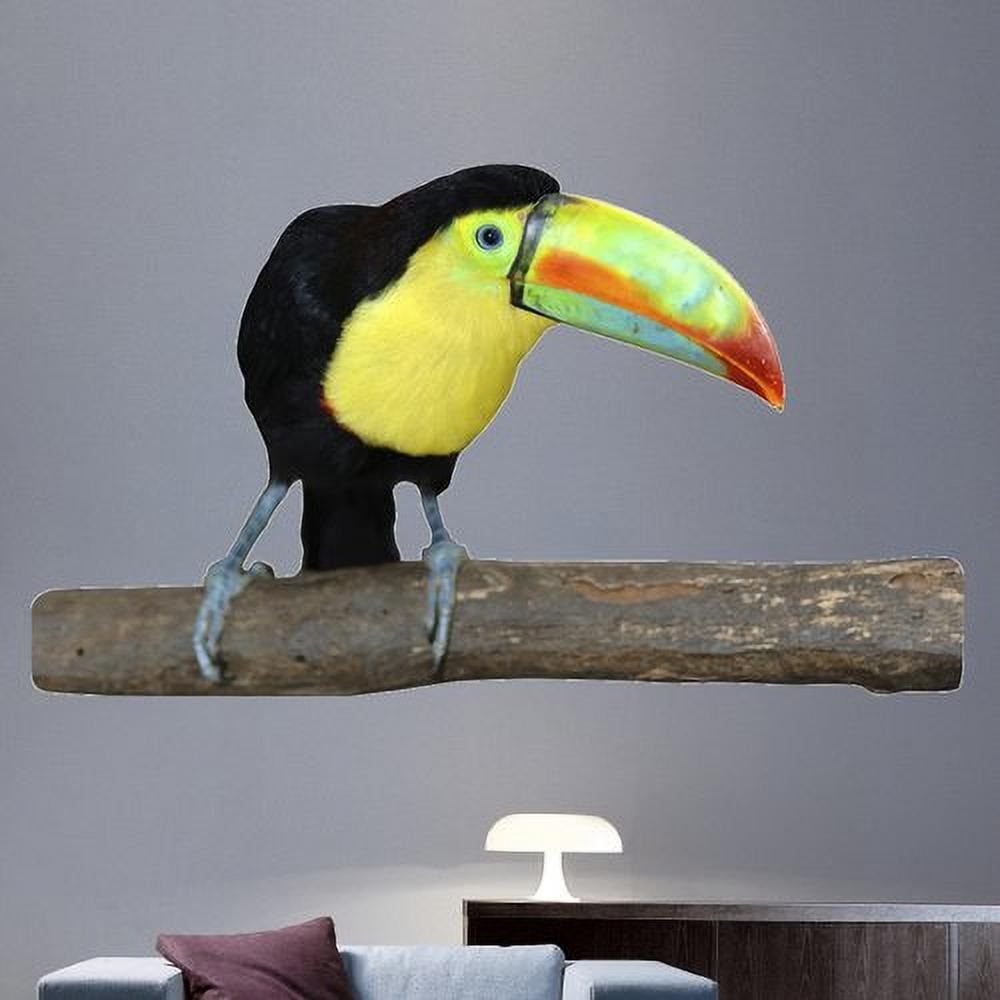 Wallhogs Toucan II Cutout Wall Decal - Walmart.com