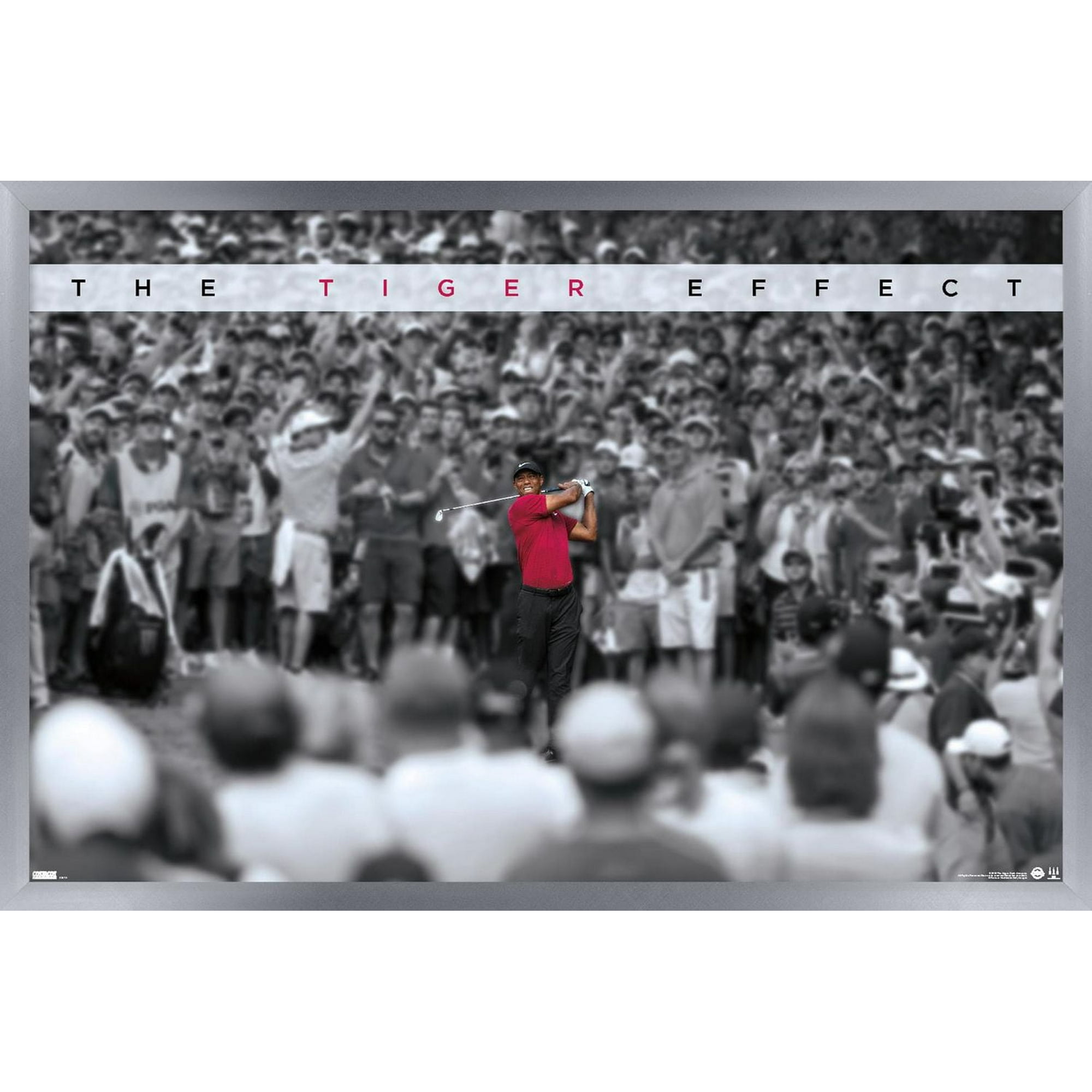 Click here for Trends International Tiger Woods - The Tiger Effec... prices