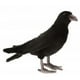 Handcrafted Cuddlers 12" Handcrafted Realistic Plush Black Crow Free ...