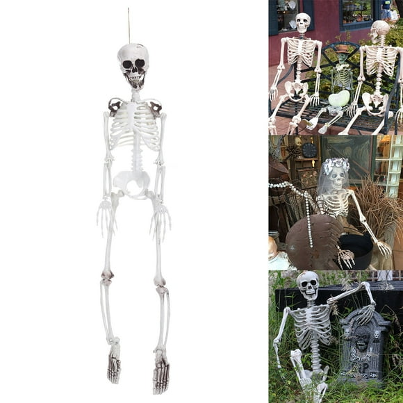 Poseable Skeleton