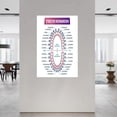 Tooth Number Chart Anatomy with Numbering SystemDental Education Poster ...