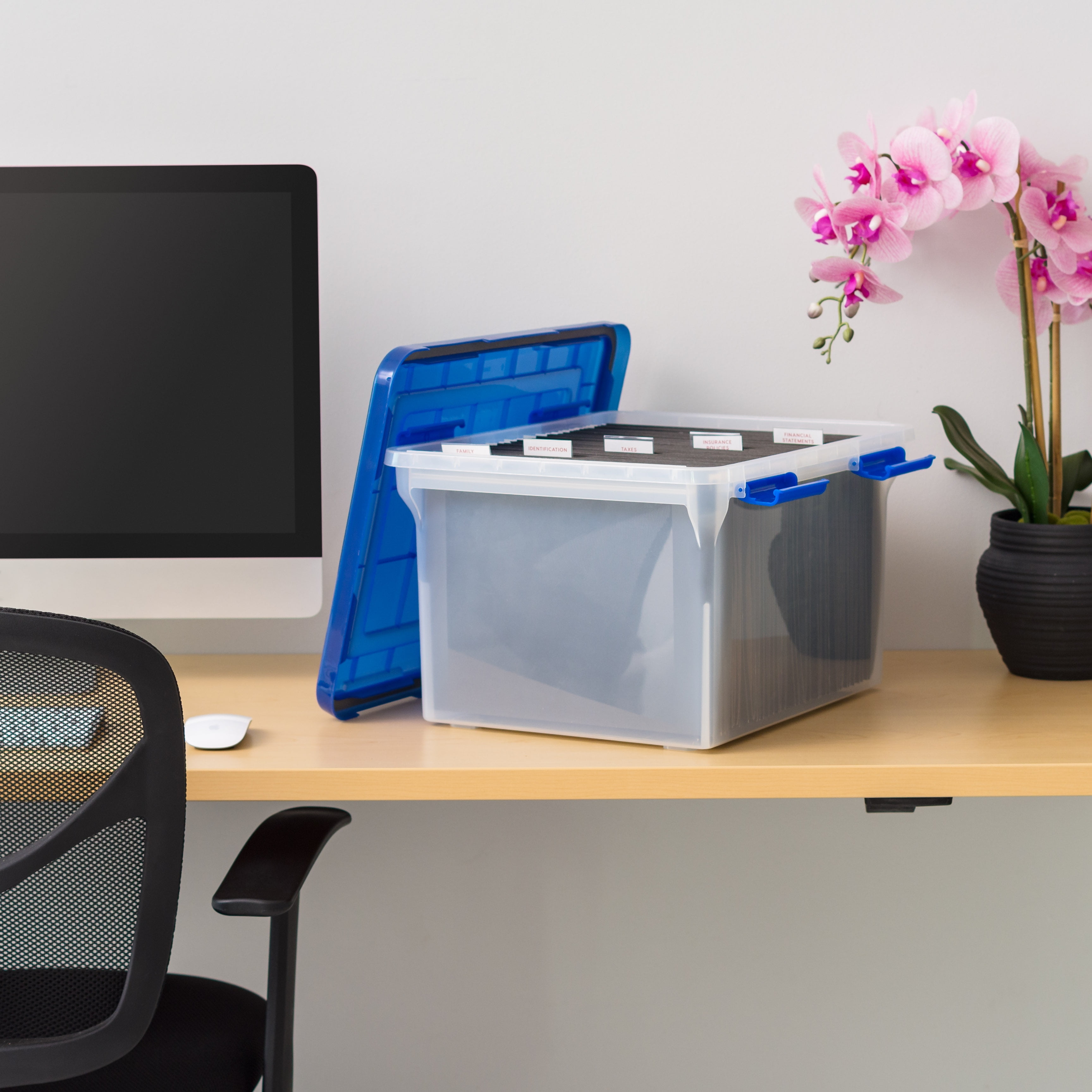 Buy IRIS USA, 32 Quart WeatherPro™ Gasket Clear Plastic Legal File ...