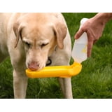 Gulpy Water Dispenser, 20 oz. - Assorted Color - Walmart.com