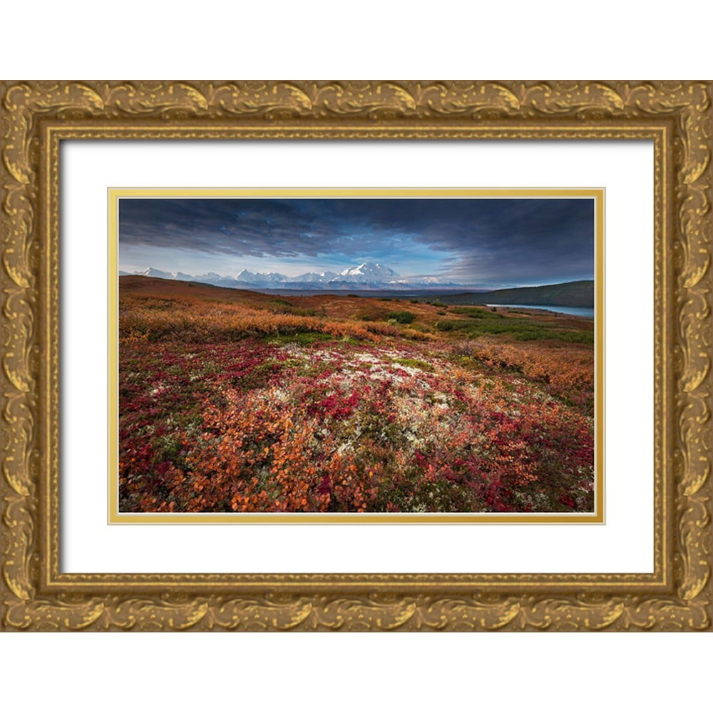 Howard Liu, Hao 24x17 Gold Ornate Wood Framed with Double Matting ...