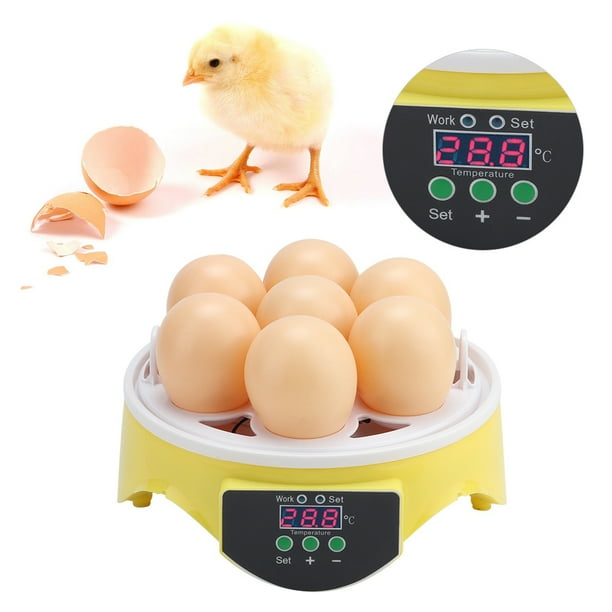 Temperature Control Incubator, Exquisite Compact Design Digital Display ...